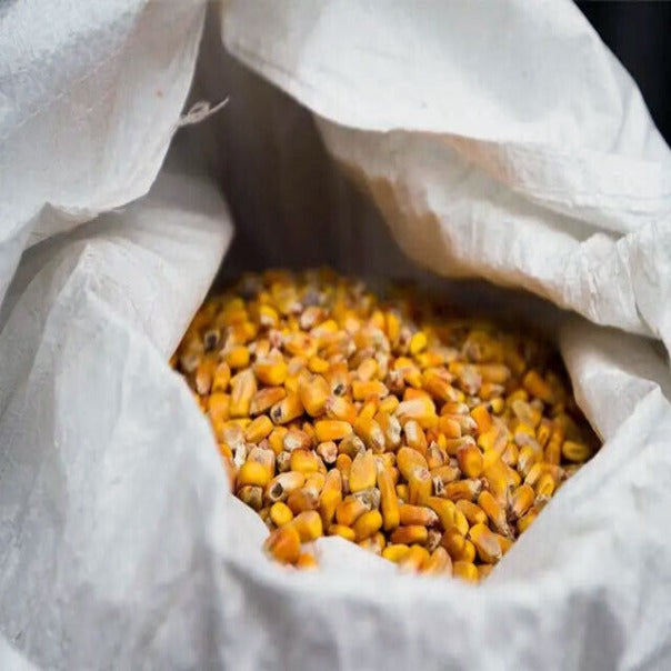 Whole Corn - 1 Barrel – Flores Valley Farms
